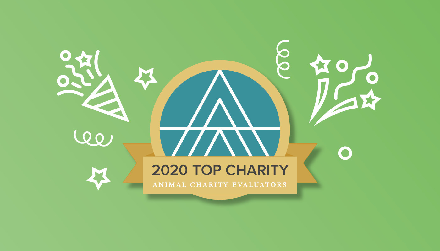 We Are a 2020 Top Charity • Albert Schweitzer Foundation